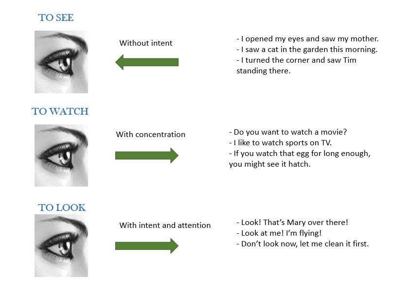 Diferencias Entre Look See Y Watch Cu ndo Se Usan Smyth Academy Madrid